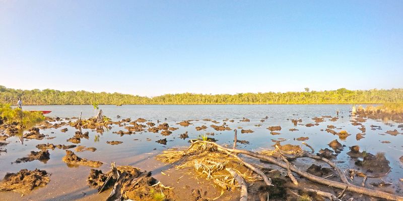 Addressing Oceania’s freshwater biodiversity data deficiency by ...