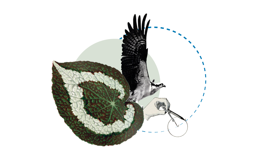 Guides and documentation