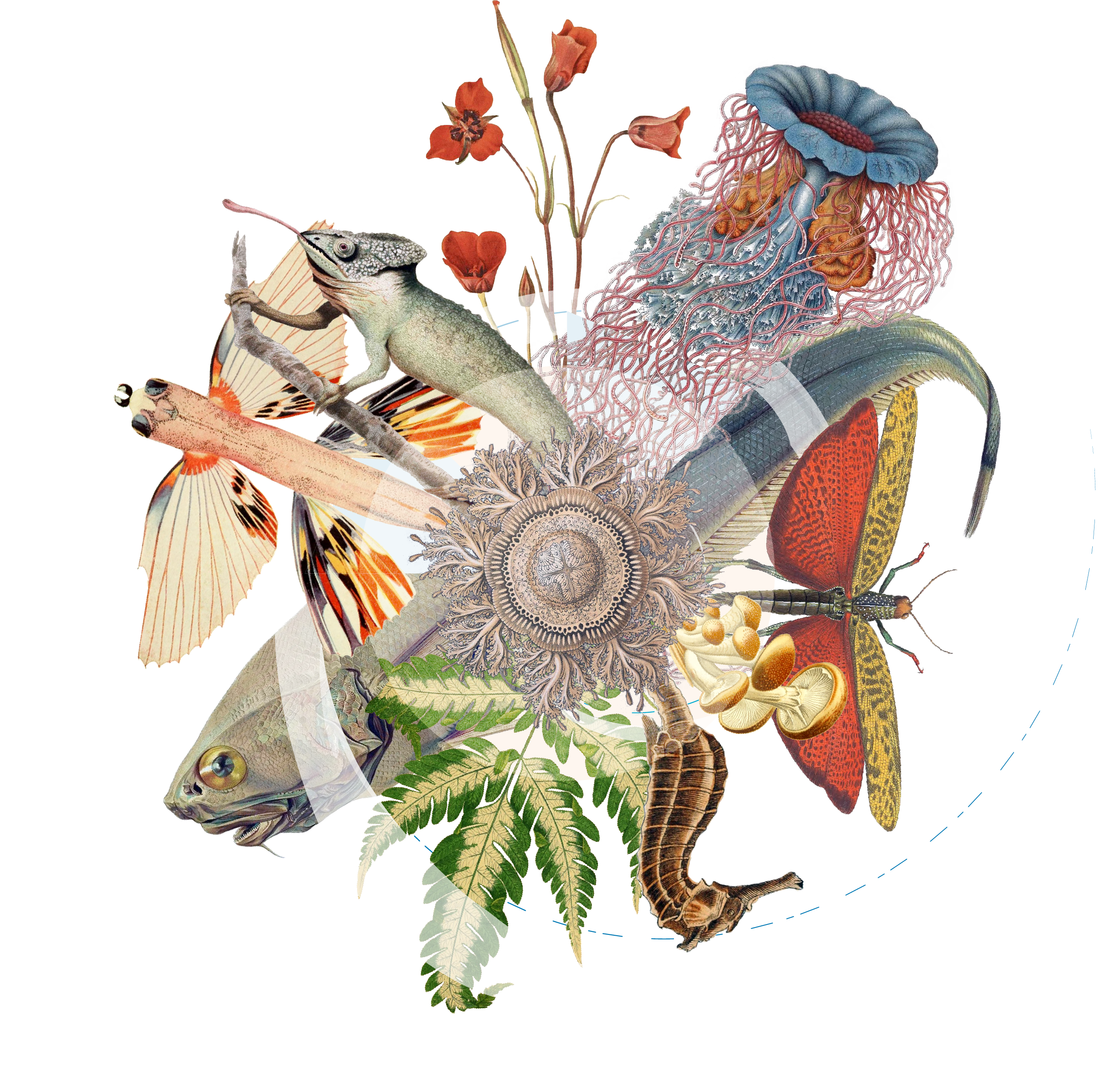Metabarcoding Data Programme