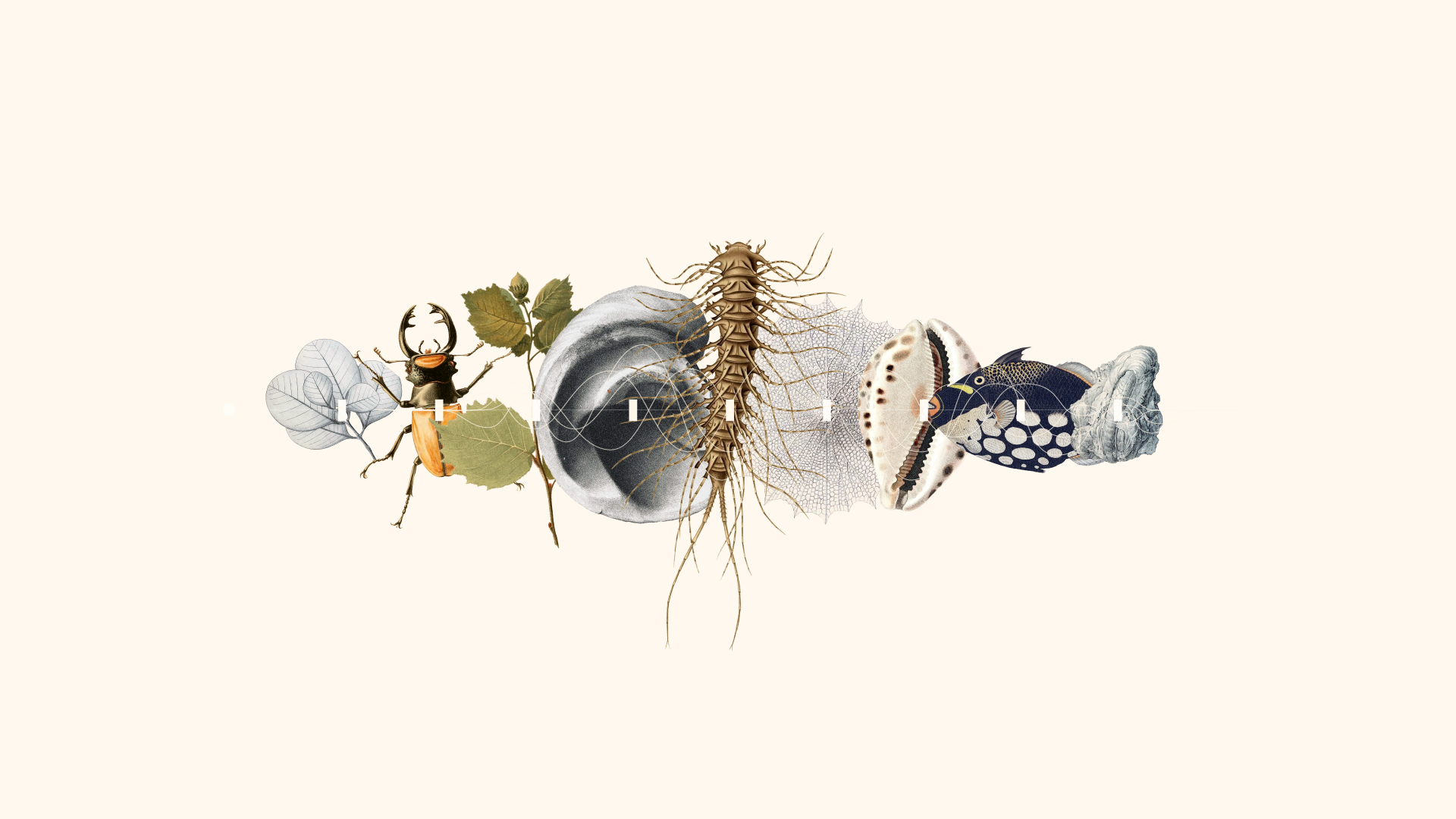 Gbif Programmes Composition